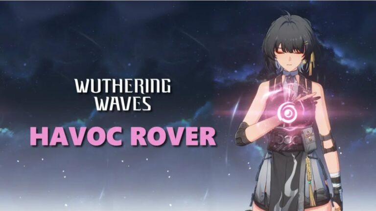 Wuthering Waves Havoc Rover Build: Best Build Guide