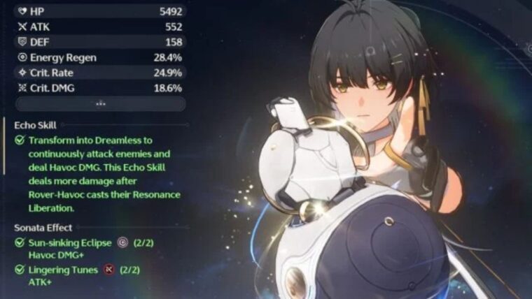 Wuthering Waves Havoc Rover Build: Best Build Guide