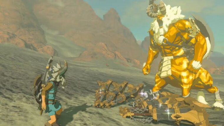 Are There Any Gold Enemies In Zelda Tears Of The Kingdom?