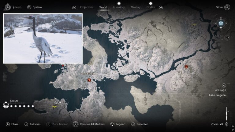 Assassin's Creed Shadows Legendary Animals (Sumi-E) Locations