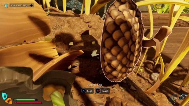 Where To Find Grounded 2 Acorns: Explained