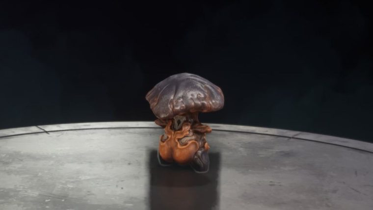How To Make The Best Nokko Of Warframe Build: Explained